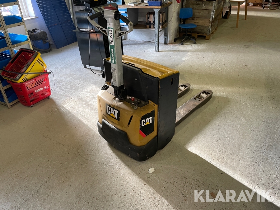 El hund CAT, Haderslev, Klaravik auktioner