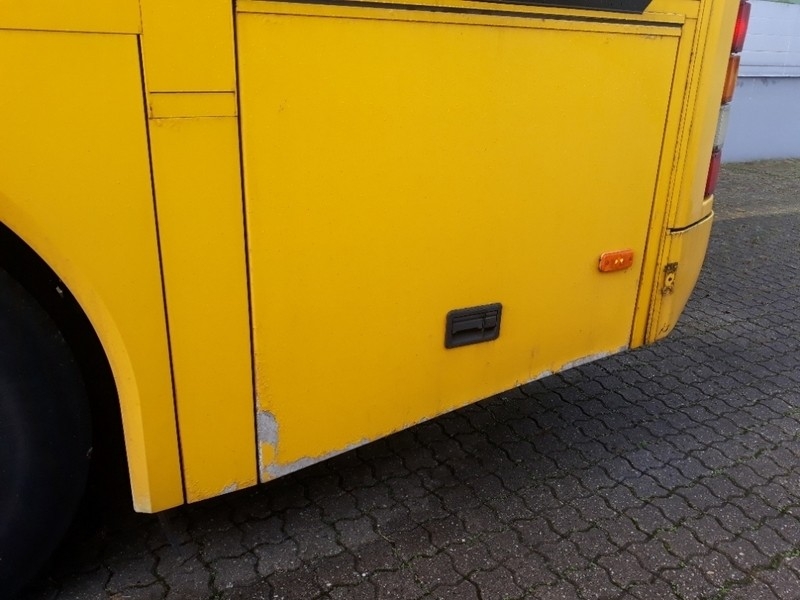 Bus