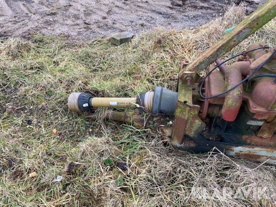 Slamsuger, Esbjerg, Klaravik auktioner