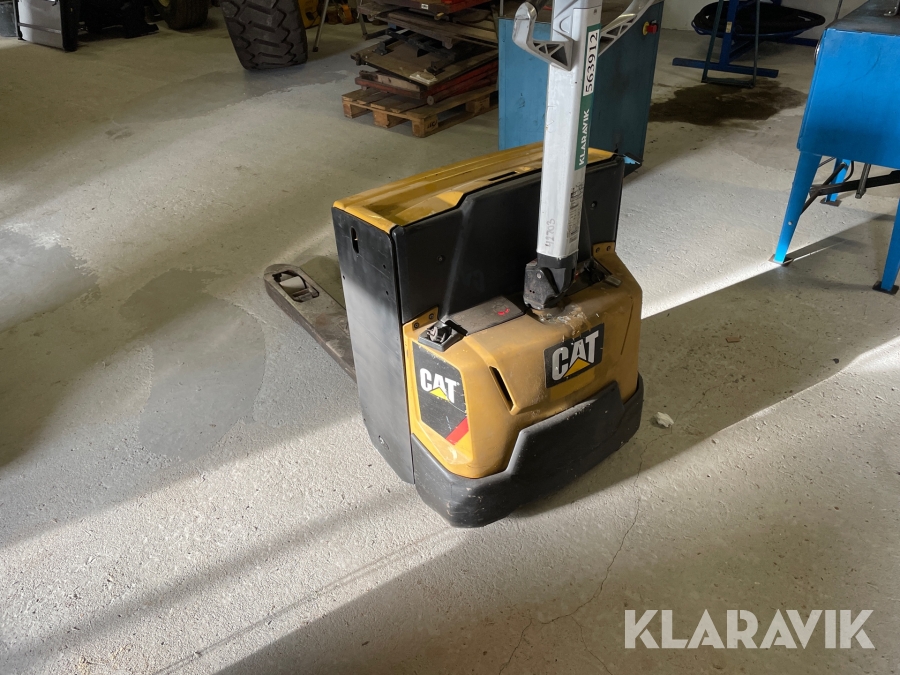 El hund CAT, Haderslev, Klaravik auktioner